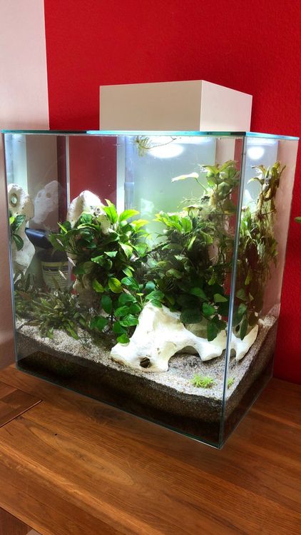 Aquarium Fluval Edge 2.0, Weiss 46 Liter (Gebraucht) in Muri AG für CHF ...