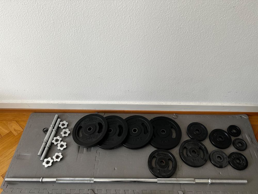 73kg Lang- und Kurzhantel-Set (Gebraucht) in Zürich für CHF 160 – nur ...