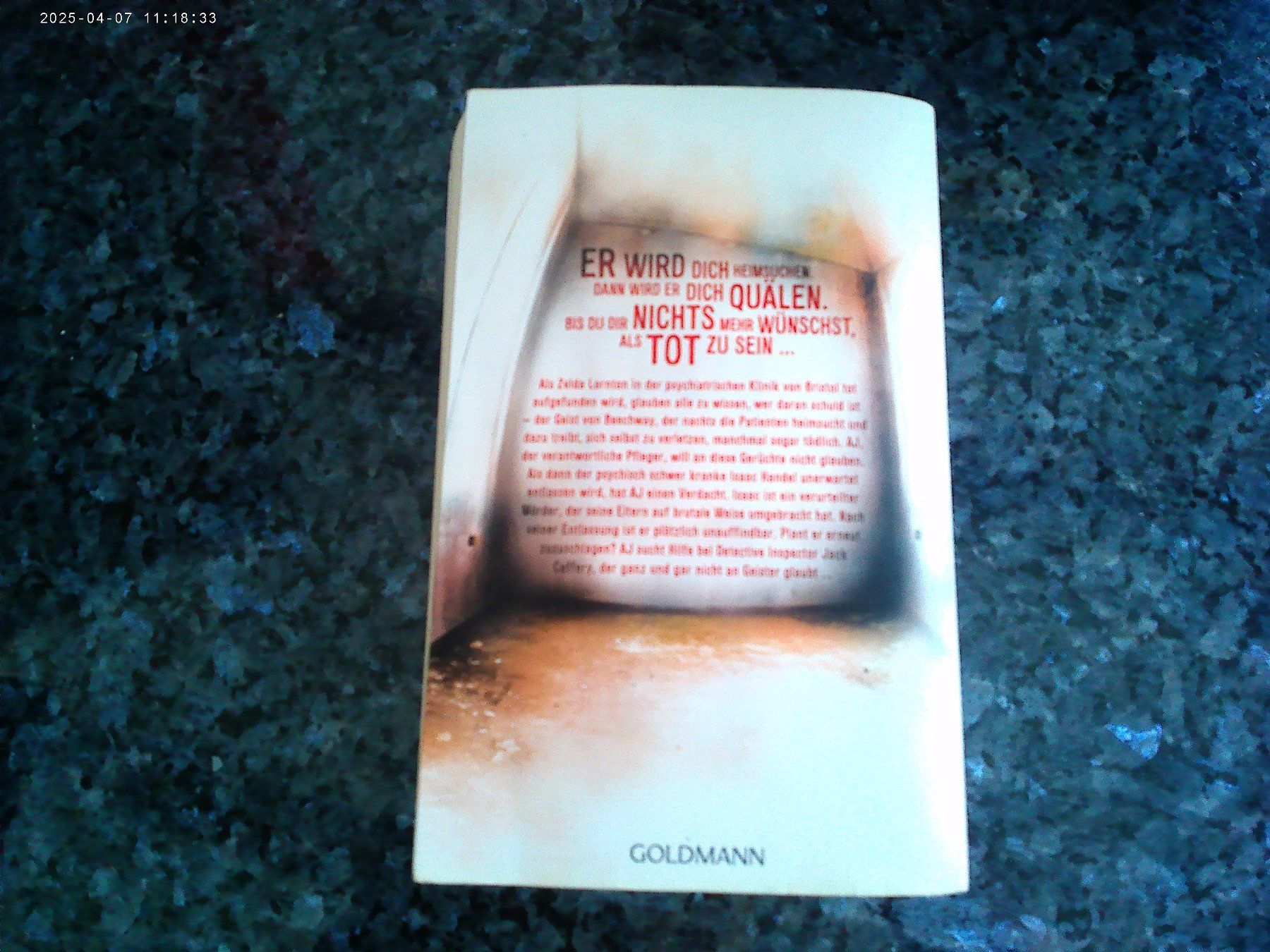 Die Puppe von Mo Hayder (Gebraucht) in reitnau für CHF 1 – nur Abholung ...