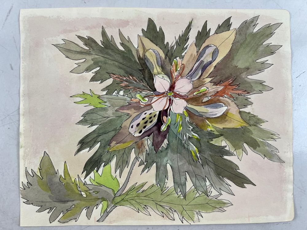 Aquarell Zeichnung Blütenpracht, handgemalt, Unikat | Kaufen auf Ricardo