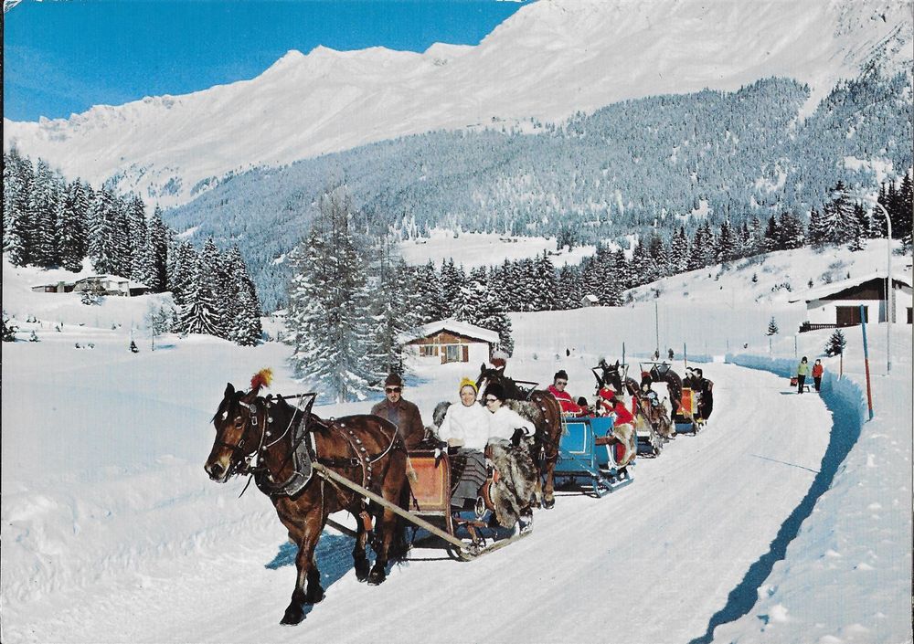 Lenzerheide, Pferdeschlittenfahrt (m) (Gebraucht) in Engelburg für CHF 1 – mit Lieferung auf ...