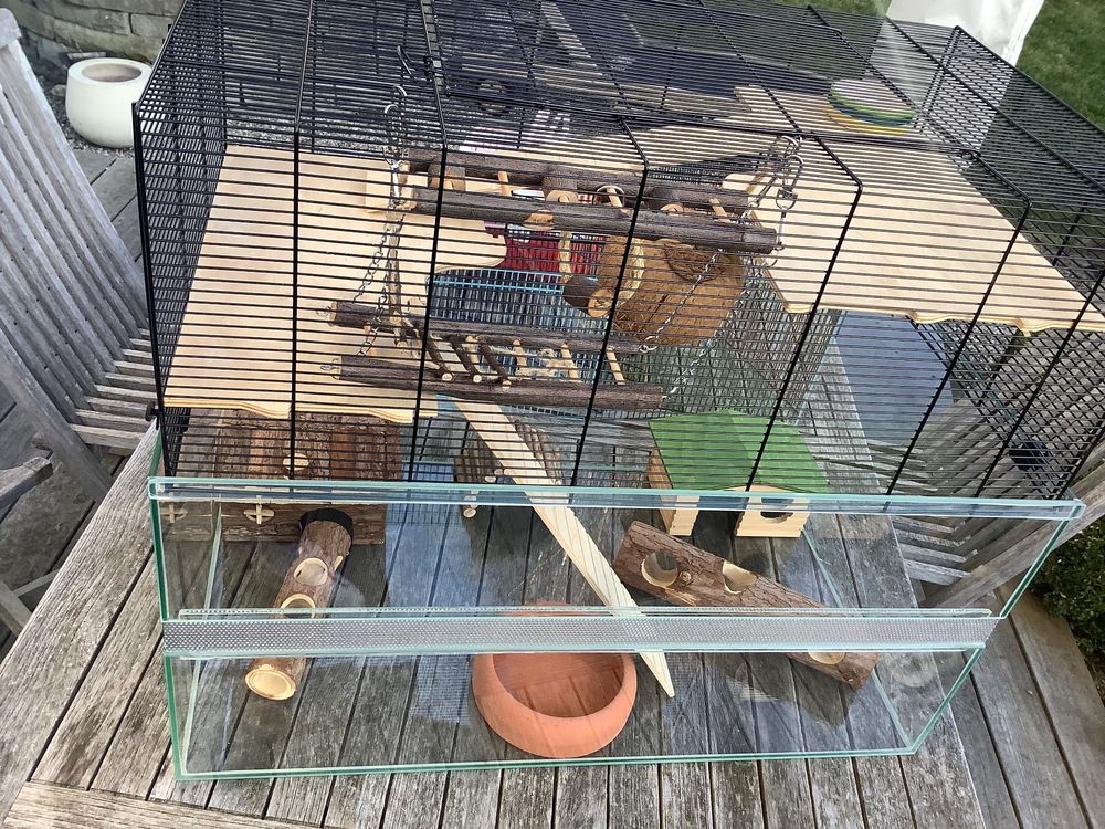 Mäusekäfig | Kaufen auf Ricardo