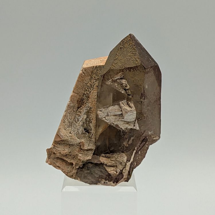 ROSA ORTHOKLAS eingebettet in RAUCHQUARZ, Sardinien (Nuovo (secondo la descrizione)) a Balerna ...