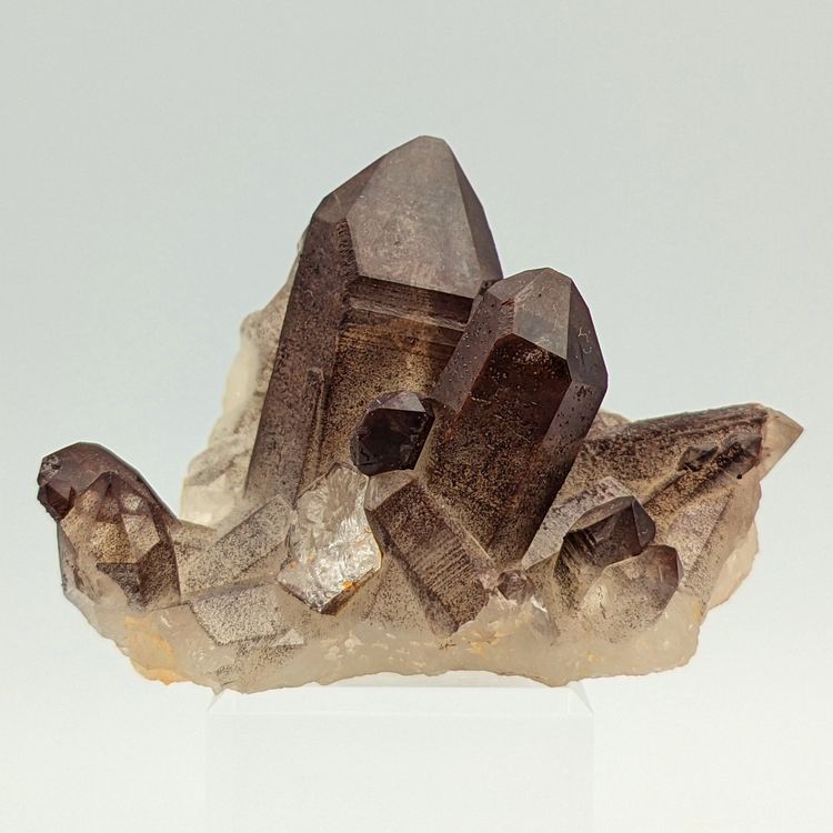 HÄMATIT-QUARZ ROT, Farbe ROT dunkel natürlich (Neu (gemäss Beschreibung)) in Balerna für CHF 79 ...