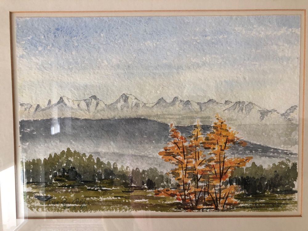 Aquarell | Kaufen auf Ricardo