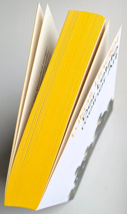 Der Letzte meiner Art – Lukas Linder – Kein & Aber TB – Top (Neu (gemäss Beschreibung)) in Bern ...