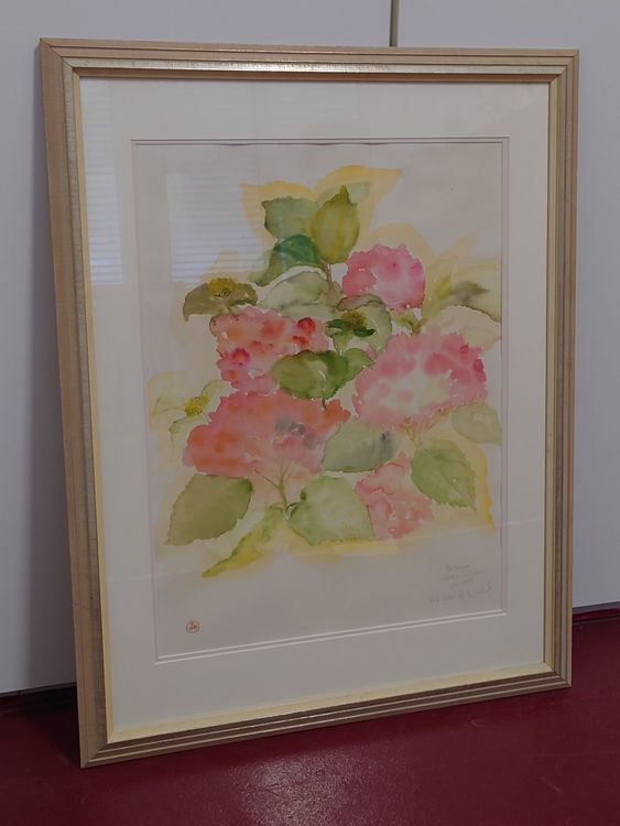 Aquarell "Hortensien" gerahmt signiert 1992 (Gebraucht) in St. Gallen für CHF 20 – nur Abholung ...