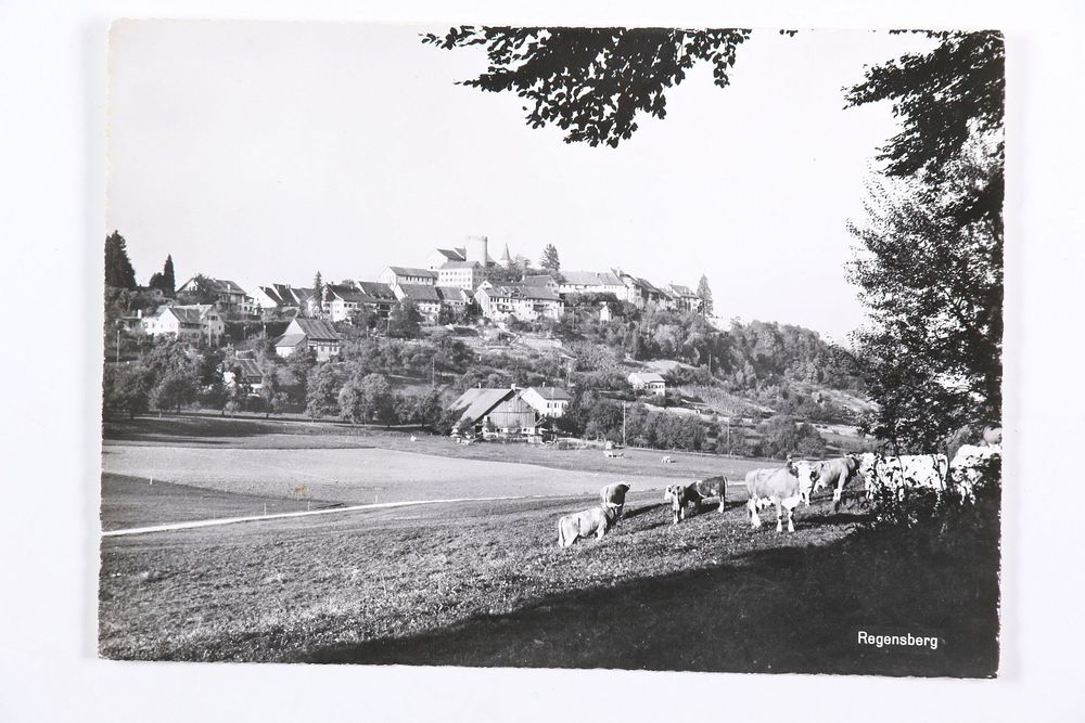 Regensberg | Kaufen auf Ricardo