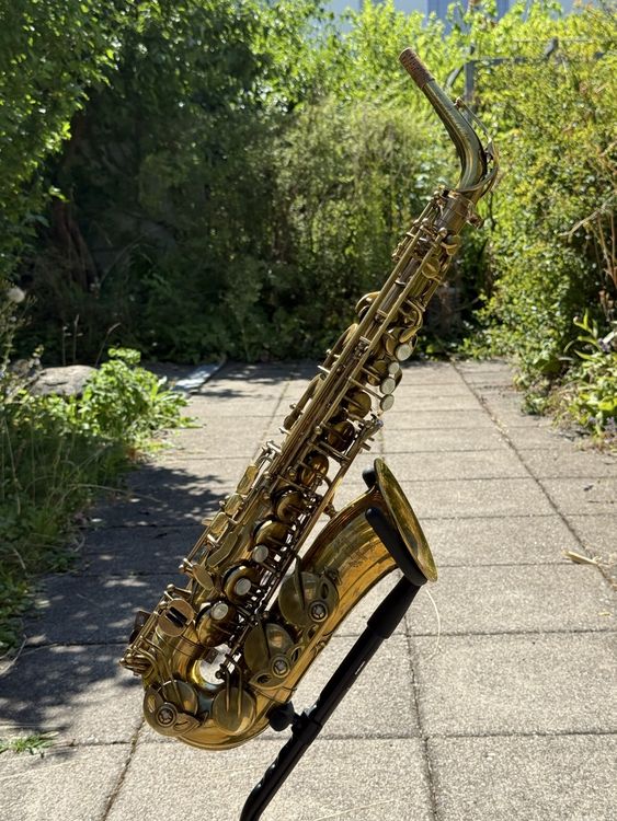 Trevor James Signature Custom RAW XS alto saxophone (Gebraucht) in ...