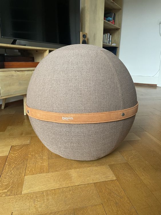 Bloon Ergonomic Office Ball Chair, Excellent Condition (Gebraucht) in ...
