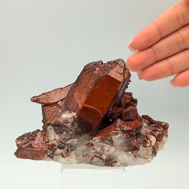 HÄMATIT-QUARZ, BLUTROT mit CHALCEDON-NAHT (Neu (gemäss Beschreibung)) in Balerna für CHF 75 ...