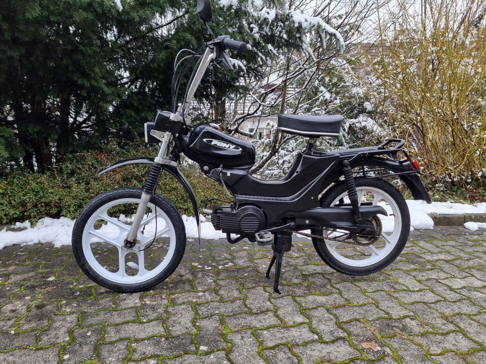 Pony Cilo | Kaufen auf Ricardo