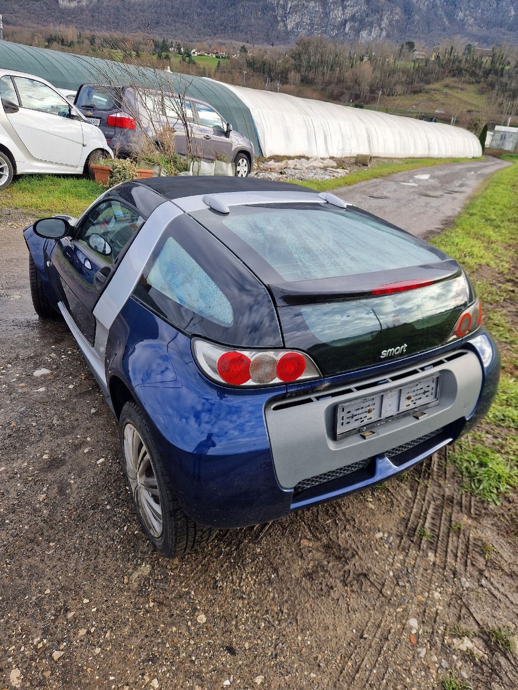 Smart Roadster (Defekt) in Genève für CHF 1950 – nur Abholung auf Ricardo kaufen