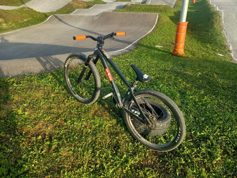 rose the bruce 2 dirt jump bike | Kaufen auf Ricardo