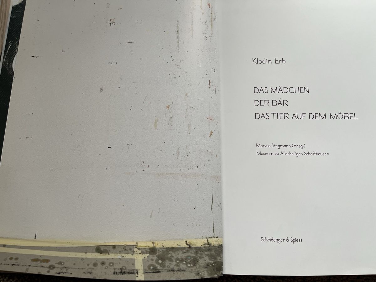 Klodin Erb Das Mädchen Der Bär Das Tier auf dem Möbel (Gebraucht) in ...