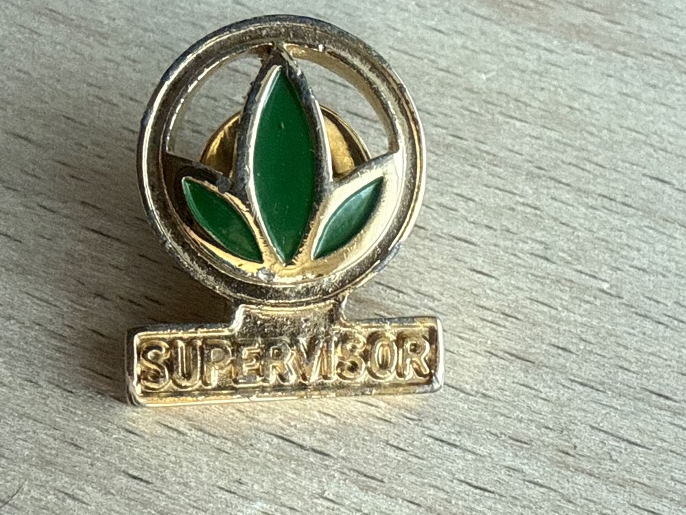 Pin Supervisor | Kaufen auf Ricardo