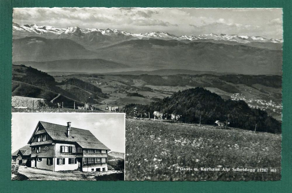 Wald ZH, Alp Scheidegg,Gast- und Kurhaus (Gebraucht) in Sargans für CHF 1 – mit Lieferung auf ...