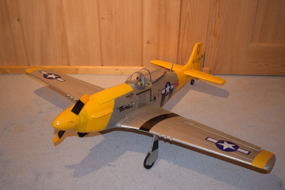 Mustang P21 | Kaufen auf Ricardo