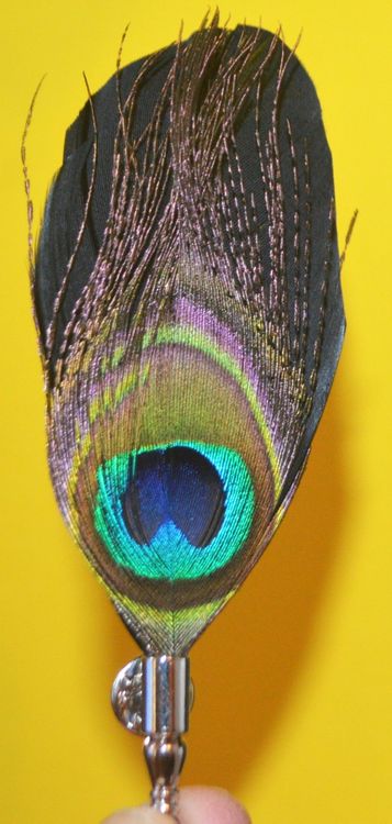 Brosche C-253A – Pfau Feder Pin Schwarz – 4,5 x 11 cm | Kaufen auf Ricardo