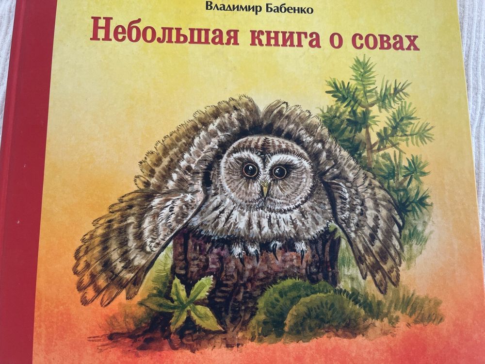 Ein kleines Buch über Eulen. Auf Russisch. (Neu (gemäss Beschreibung ...