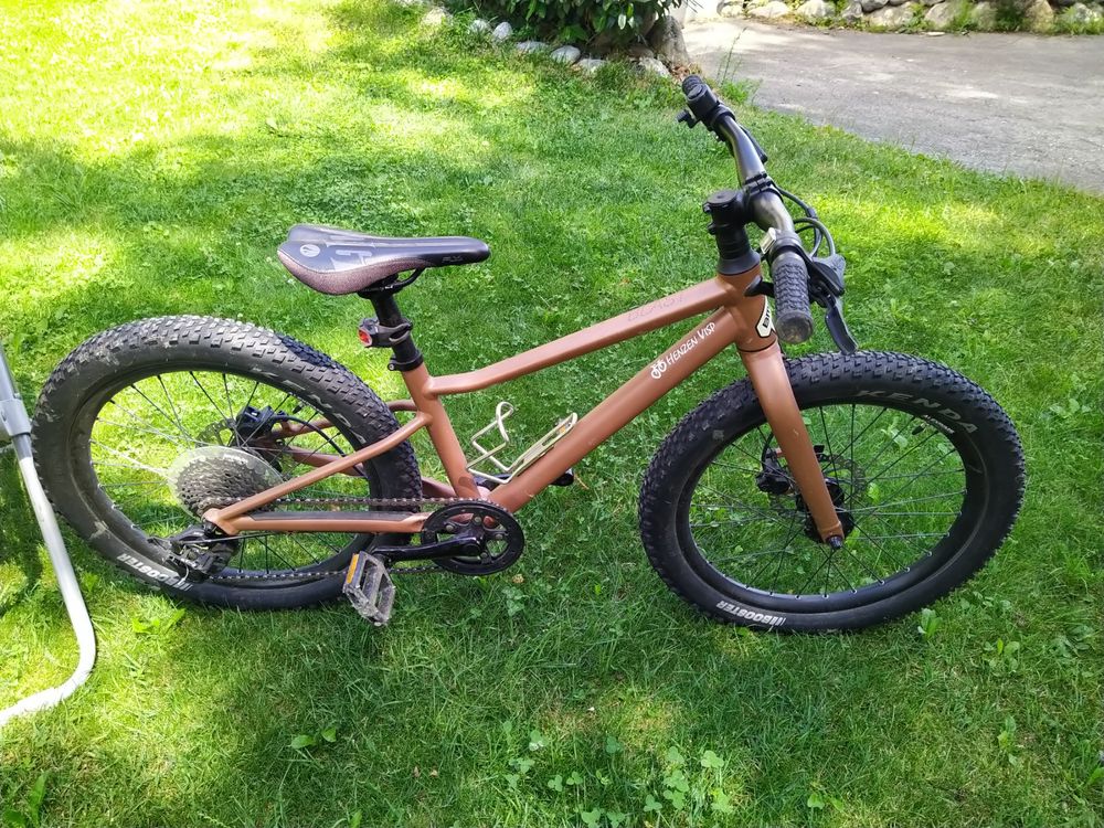 BMC Blast 20 Zoll (Gebraucht) in Gondo für CHF 295 – nur Abholung auf ...