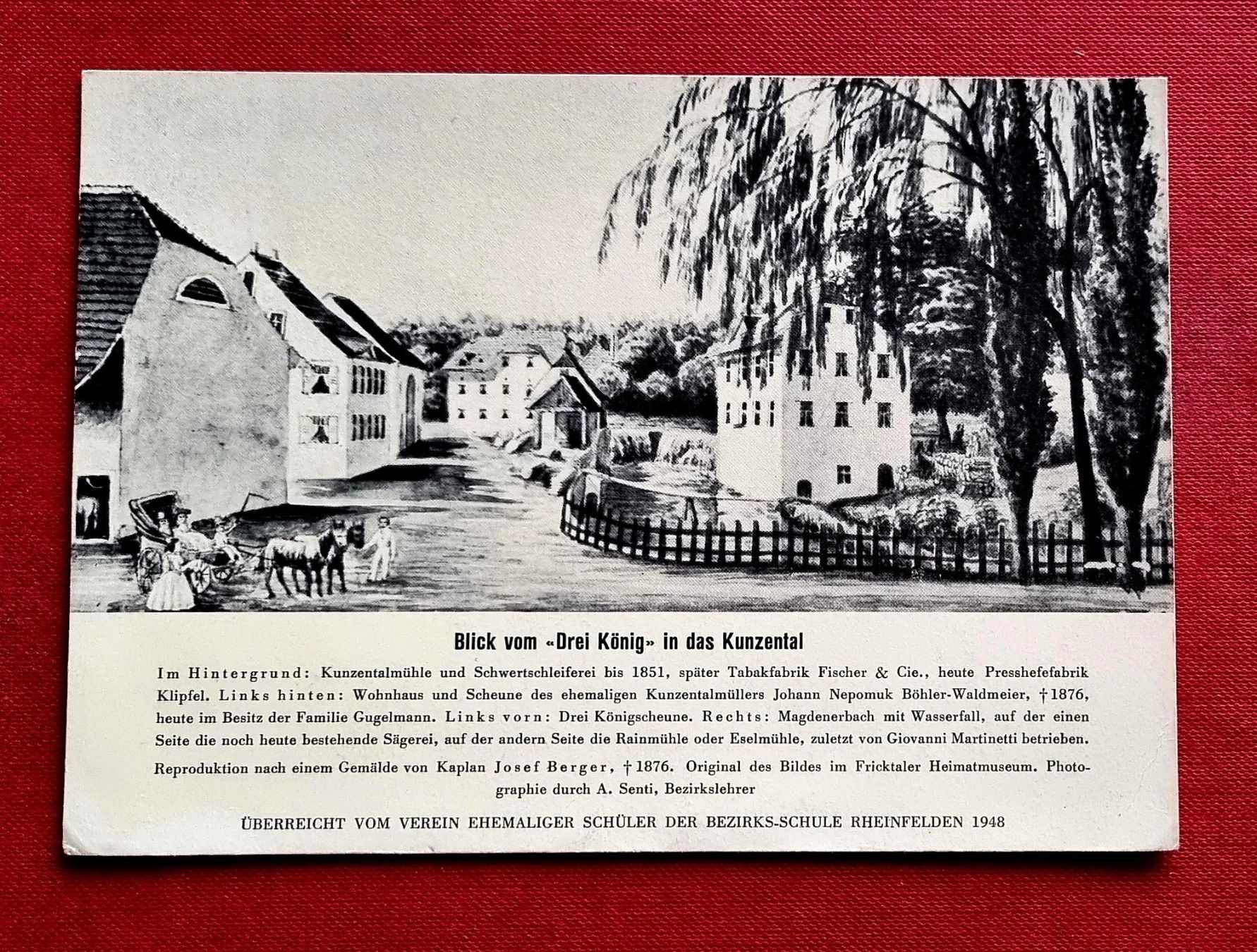 Blick vom Drei König ins Kunzental - Schüler Bez Rheinfelden (Gebraucht ...