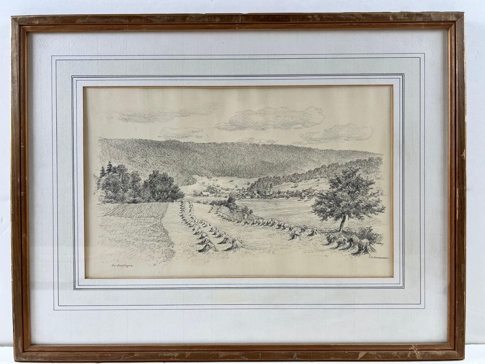 Landschaft Zeichnung Signiert. (Gebraucht) in Neuhausen am Rheinfall für CHF 5 – mit Lieferung ...
