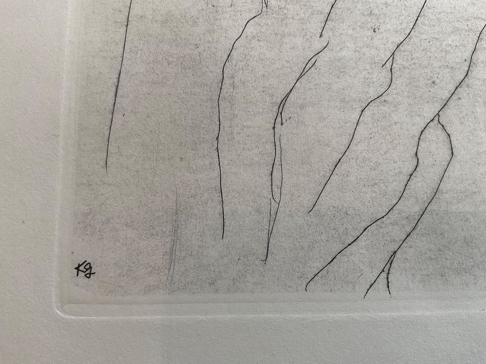 Karl Geiser - 2 x Radierungen (Gebraucht) in Pieterlen für CHF 90 – mit ...