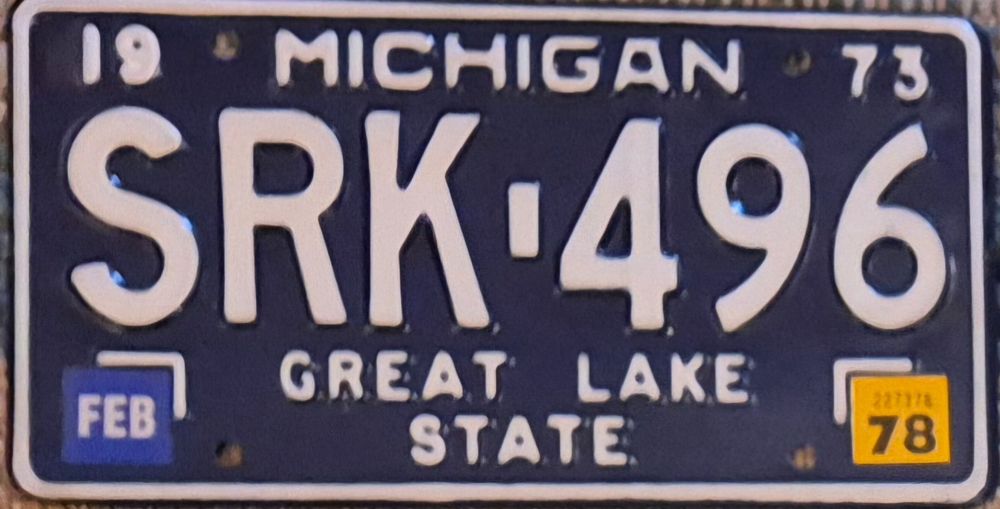USA MICHIGAN Autokennzeichen, Nummernschild (Gebraucht) in Igis für CHF ...