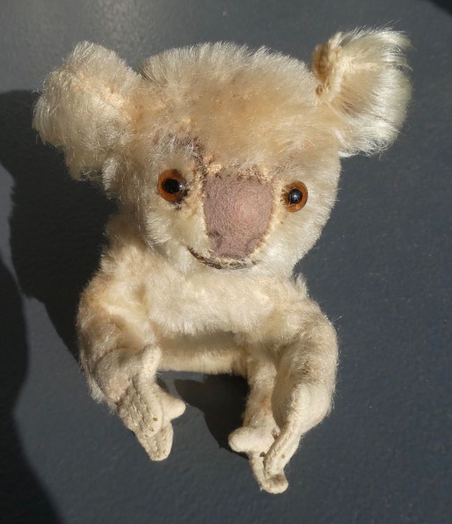 Steiff Antik Koala 12 cm (Gebraucht) in Uster für CHF 31 – mit ...