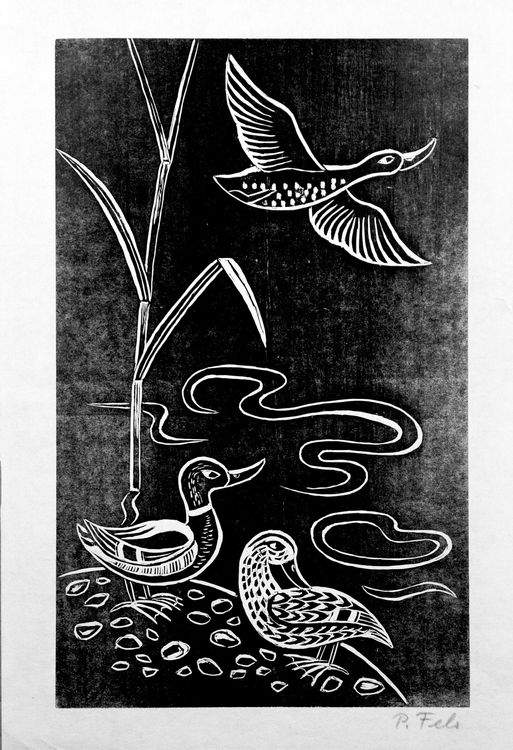 Original Holzschnitt, Enten im Schilf, signiert, Peter Fels (Gebraucht ...