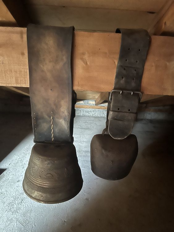 Anciennes cloches de vache avec ceinture en cuir | Kaufen auf Ricardo