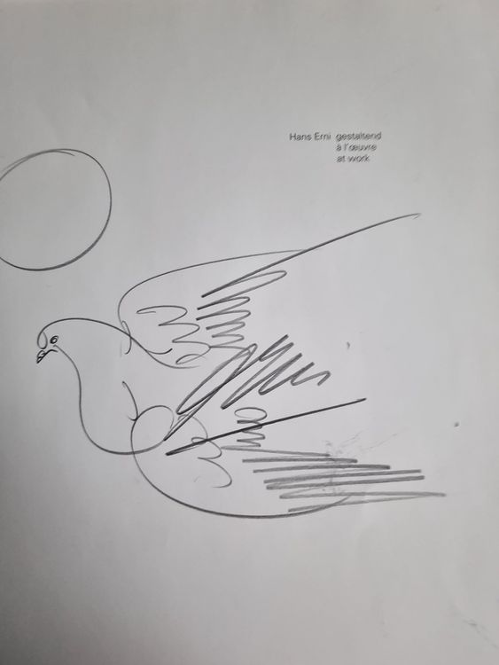 HANS ERNI TAUBE ORIGINAL ZEICHNUNG SIGNIERT RÜCKSEITIG FOTO (Gebraucht) in Gersau für CHF 45 ...