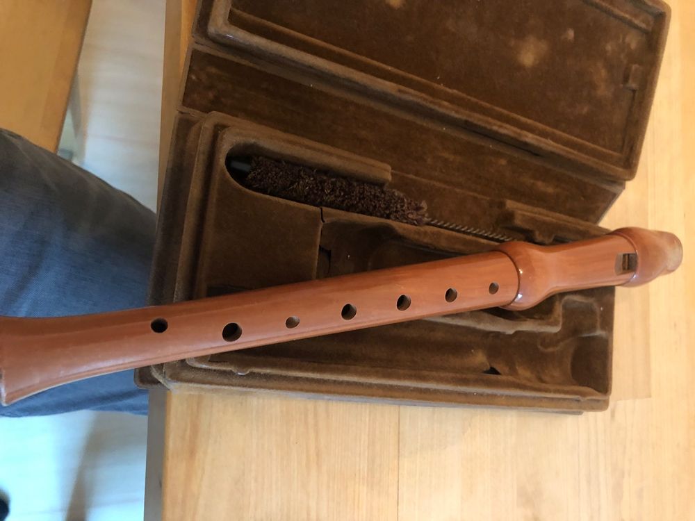 Flöte (Gebraucht) in Diepoldsau für CHF 10 – mit Lieferung auf Ricardo ...