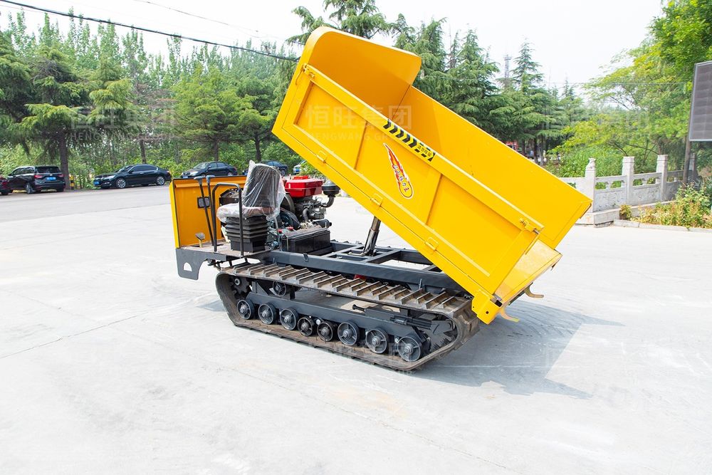 Raupen Dumper 3 Tonen Ladegewicht | Kaufen auf Ricardo