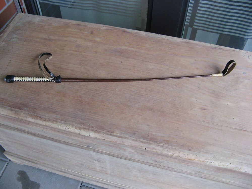 Reitgerte (Gebraucht) in Zürich für CHF 9 – nur Abholung auf Ricardo kaufen