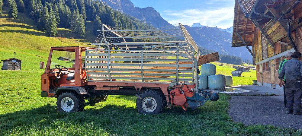 Reform muli 50 (Gebraucht) in für CHF 5200 – nur Abholung auf Ricardo ...