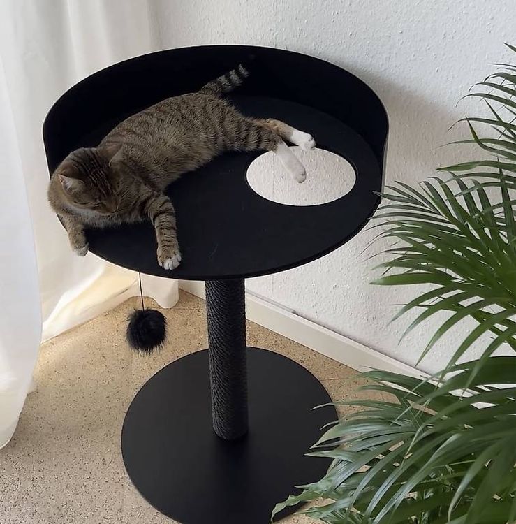 Katzenbaum Design STYA (Gebraucht) in Urtenen-Schönbühl für CHF 300 ...