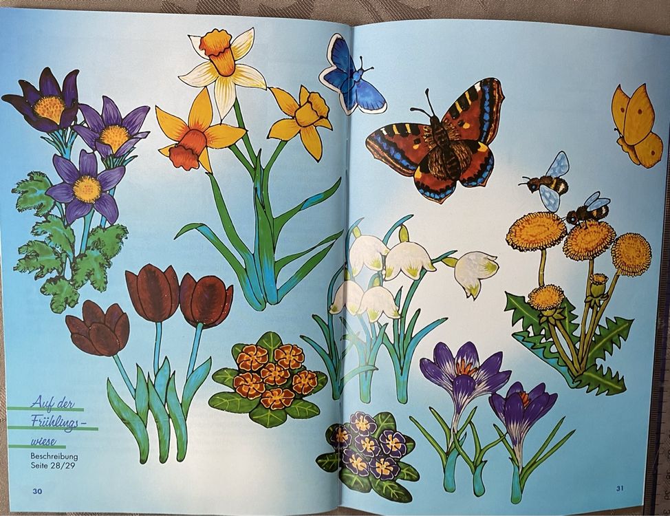 Heft Windowcolor - Frühling - wie neu - mit Vorlagebogen | Kaufen auf ...