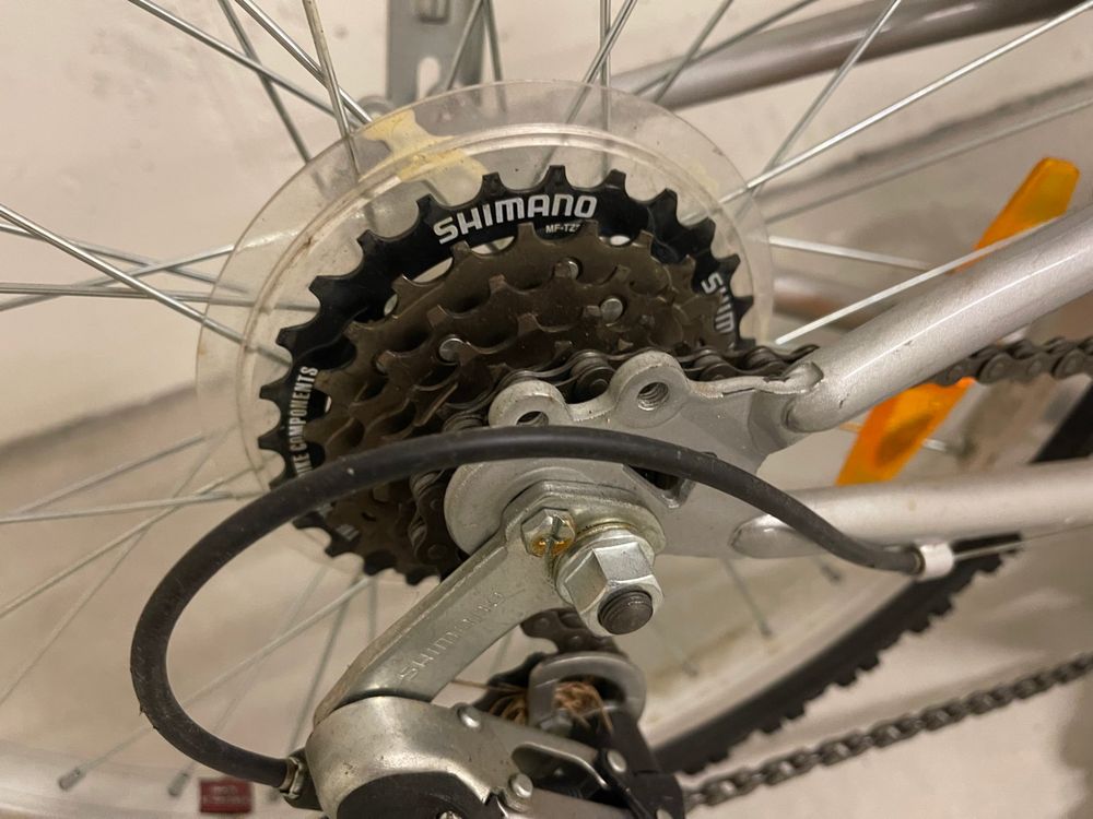 TREK - Mountain Train MT-201 - Kinderanhänger (Gebraucht) in für CHF 35 ...