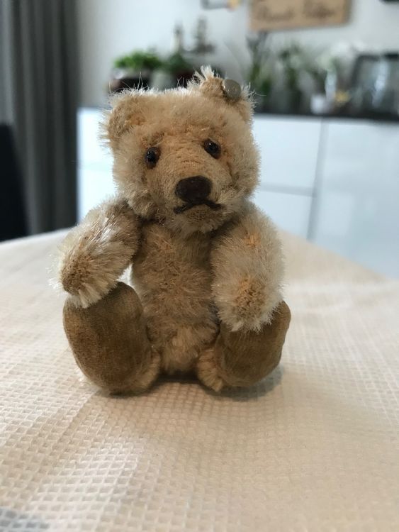 Steiff Teddy Baby | Kaufen auf Ricardo