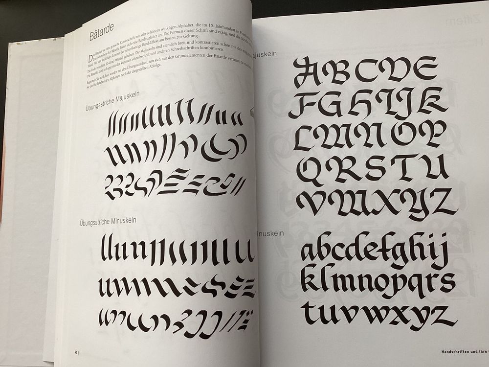 Die Kunst des Zeichnens, Kalligraphie Lettering (Gebraucht) in für CHF ...