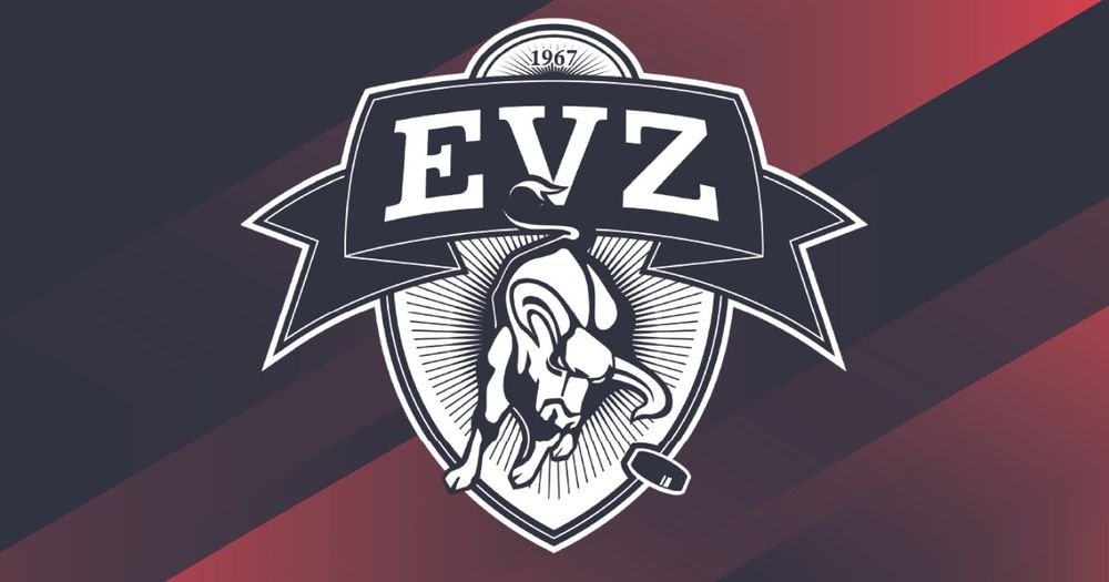 EVZ Ticket CHL | Kaufen auf Ricardo