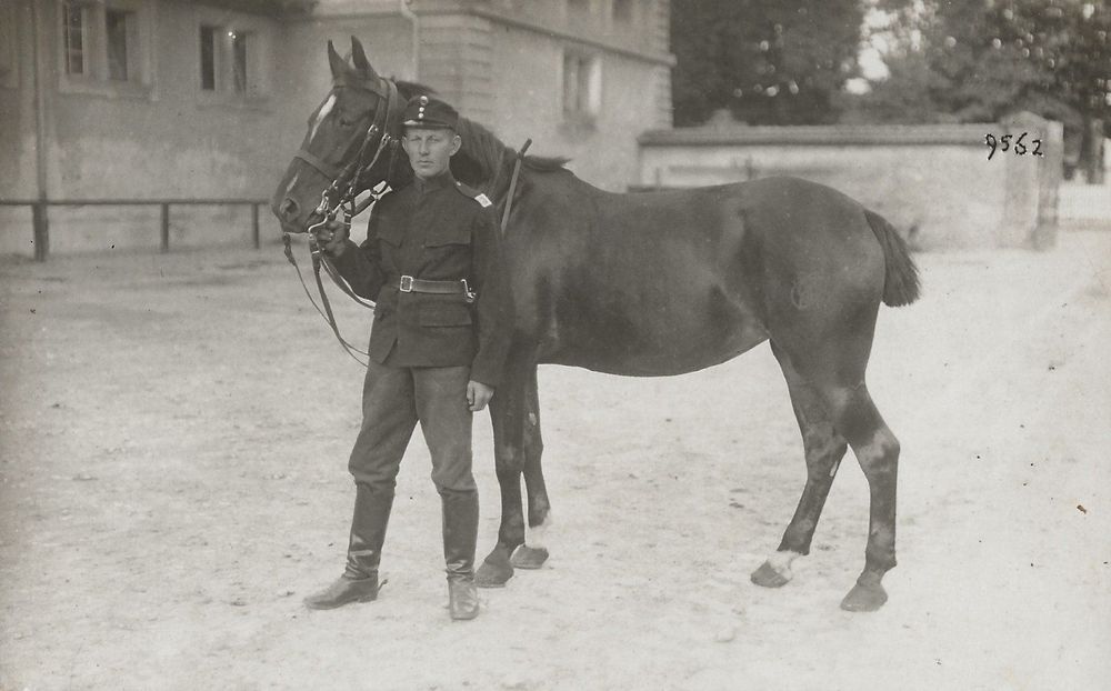 Militär, Bern, Kavallerie (Gebraucht) in Frauenfeld für CHF 3.8 – mit Lieferung auf Ricardo kaufen