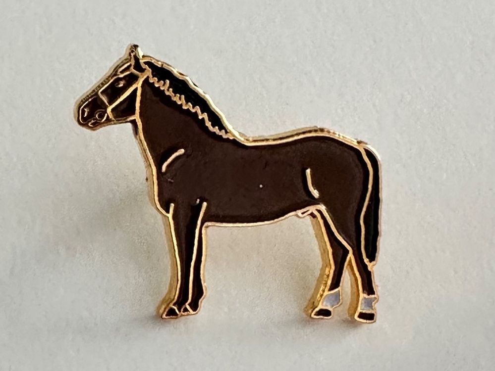 Pferd Pin (Gebraucht) in Gutenswil für CHF 4 – mit Lieferung auf Ricardo kaufen