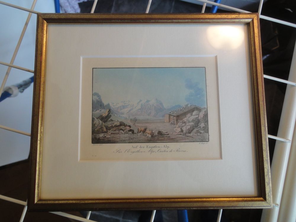 Grafik: Auf der Engstlen-Alp (Gebraucht) in für CHF 17 – mit Lieferung ...