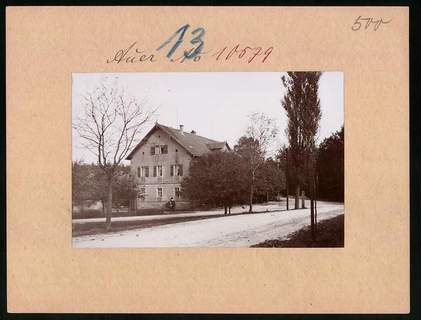 Fotografie Auer bei Moritzburg, Wohnhaus (Gebraucht) in Berlin für CHF ...