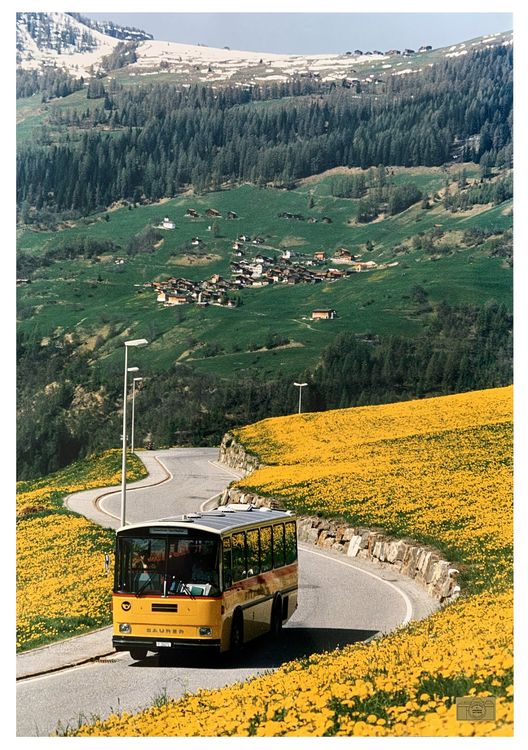 Vaz/Obervaz Lenzerheide Postauto SAURER Foto Poster 50x70 cm (Neu (gemäss Beschreibung)) in Bern ...
