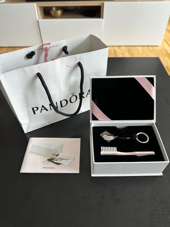 NEU PANDORA Cleaning Care Kit (Neu (gemäss Beschreibung)) in Zürich für ...