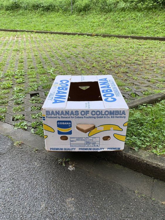 Carton de banane idéal pour déménagement (D'occasion) à Lausanne pour ...